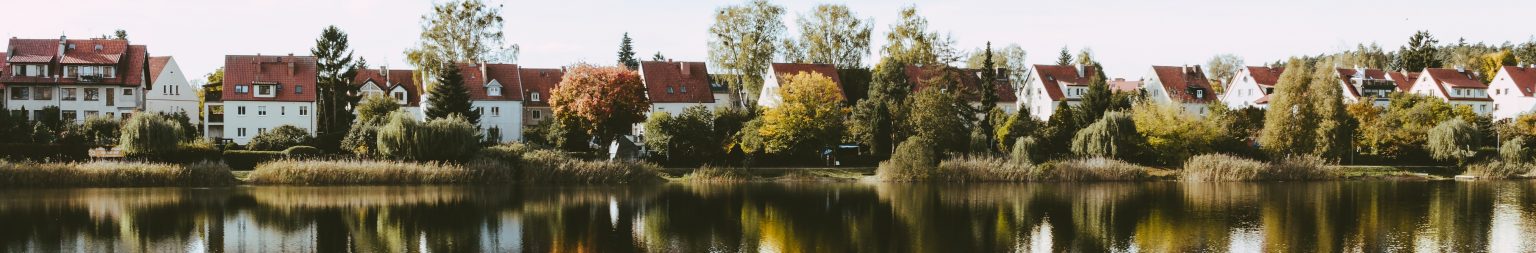 Cockaigne Chronicles – Welcome to Screeve