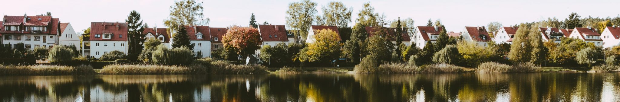 Cockaigne Chronicles - Welcome to Screeve